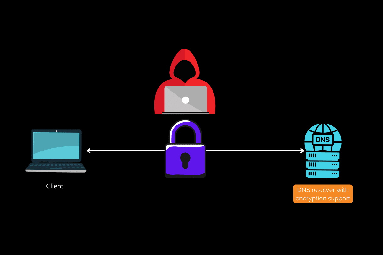 DNS Encryption: DNS over HTTPS (DoH) and DNS over TLS (DoT) | Web ...